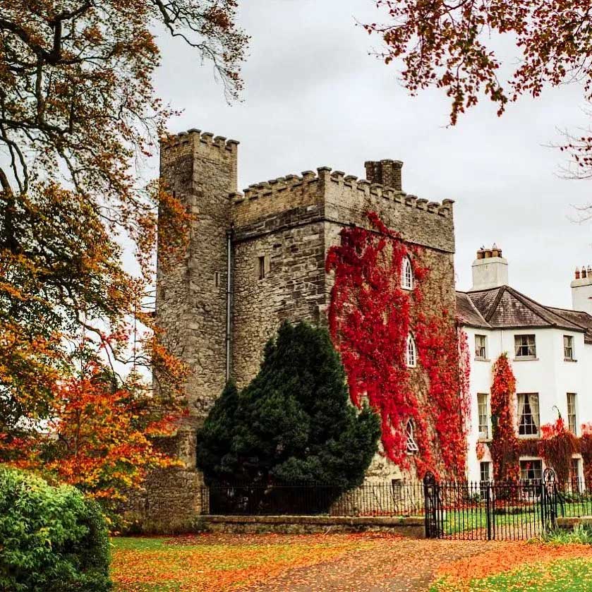Barberstown Castle — Taste of Kildare
